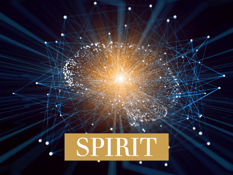 Book a Session - Lori Morrison